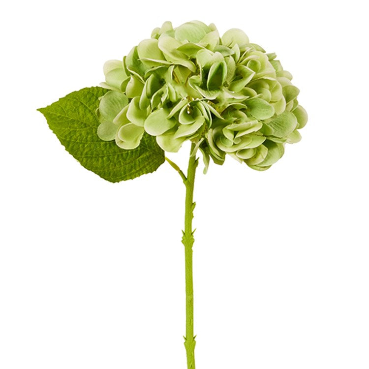 Real Touch Hydrangea Stem - Green – give.